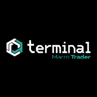 Terminal Macro Trader - Black Friday/2024 - Anual