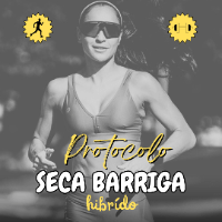 Protocolo Seca Barriga Hibrído