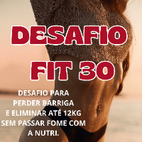 DESAFIO FIT 30