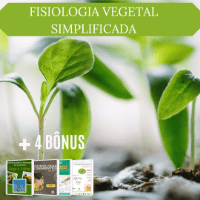 Fisiologia Vegetal Simplificada- Combo